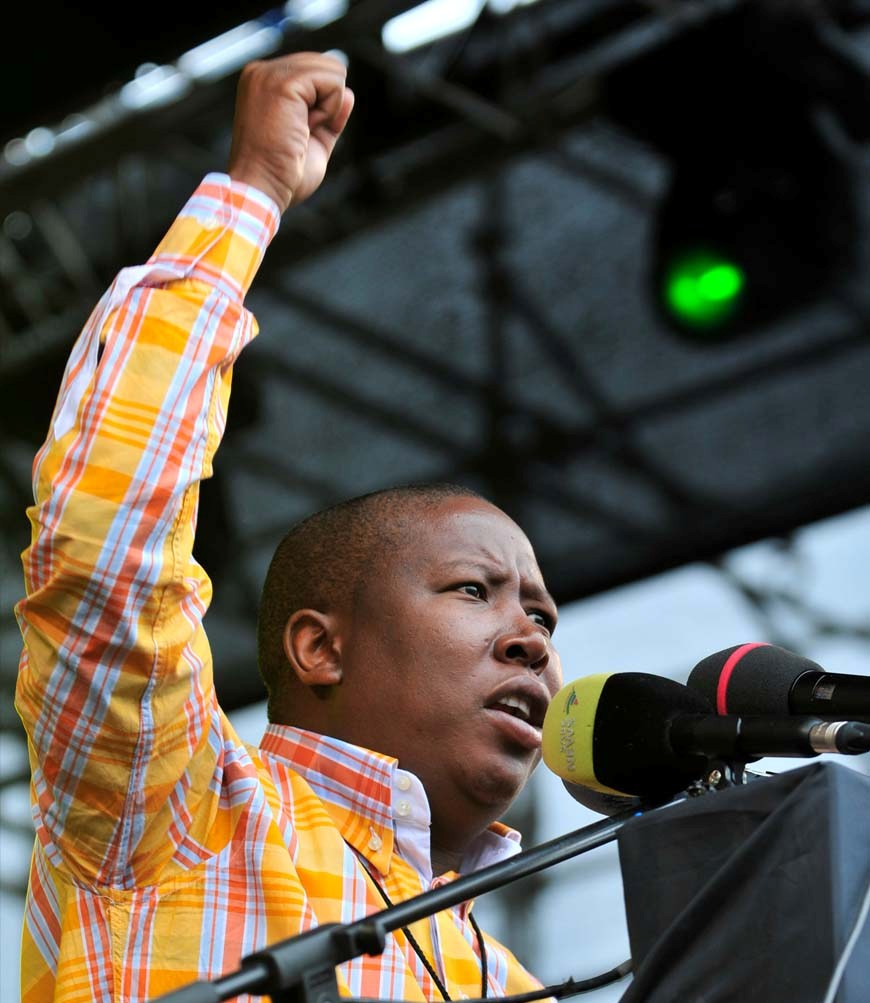 D-day for Malema defamation case | The Guardian