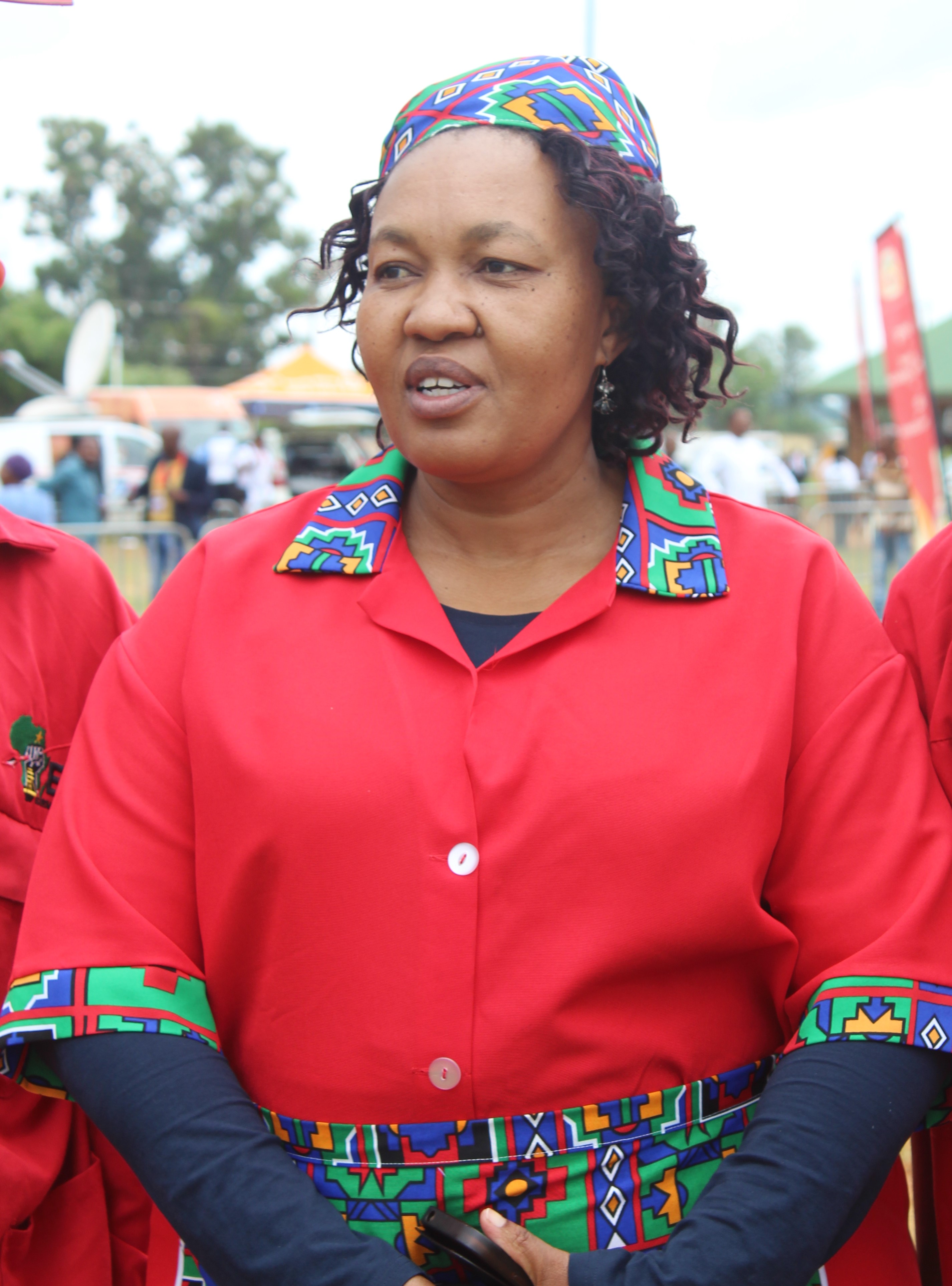 A fraud case against EFF councillor ready for trial | The Guardian