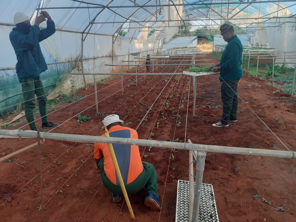 45 young people in North West benefit from NARYSEC program | TaungDailyNews