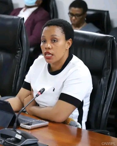 North West MEC, Keneetswe Mosenogi to hand over two libraries in ...