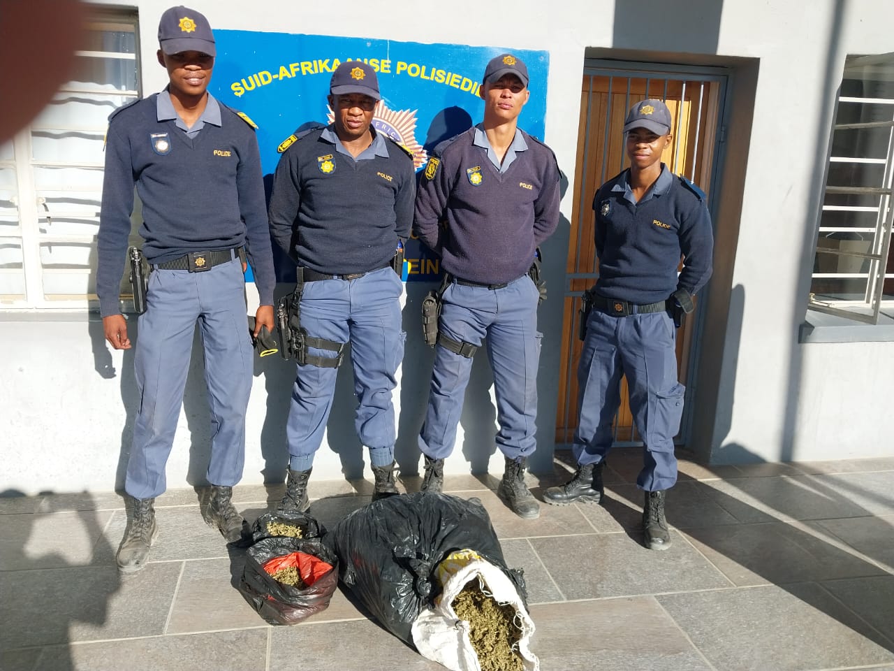 Dagga worth R500 000 discovered in the veld | The Guardian