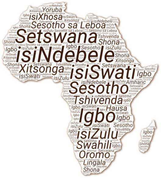 Plans in place to preserve indigenous languages | The Guardian