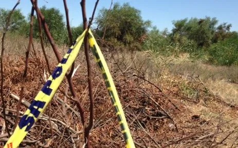 A decomposed body of a missing Mozambican man found on a farm | The ...