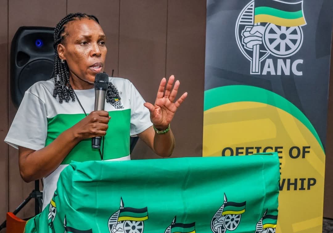 Rosho commends North West budget’s rural and youth biased | The Guardian