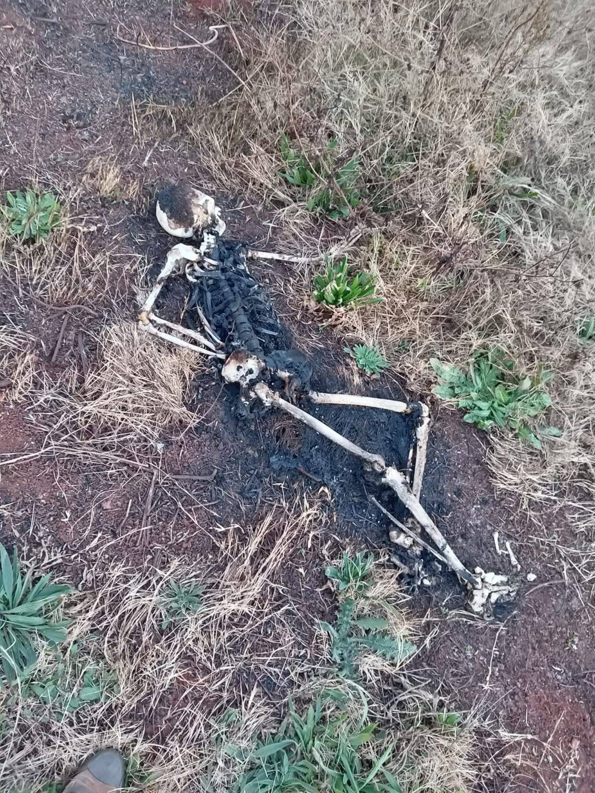 Marapo a motho a bonwe kwa sekgweng | The Guardian