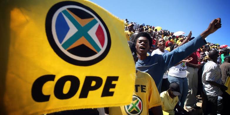 Cope table new proposals to improve governance in municipalities | The ...