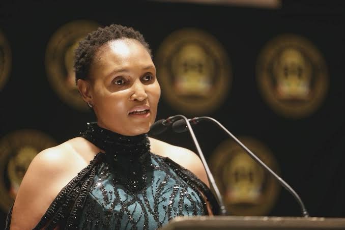 DA debates against Simelane’s Budget | The Guardian