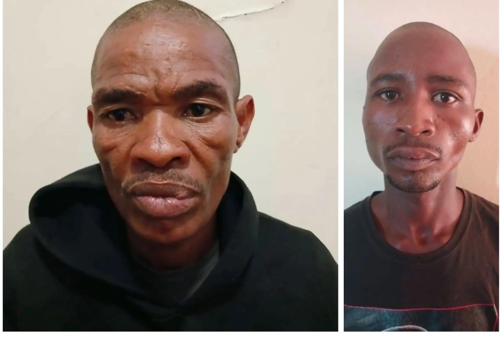 Kgetsi ya polao ya kwa Matlhako 2 e buseditswe morago | The Guardian