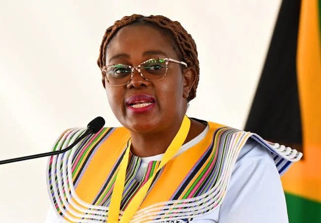 Kubayi to deliver a keynote address at 2025 Book Roundtable ...