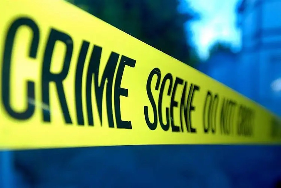 Business owner found dead! | The Guardian