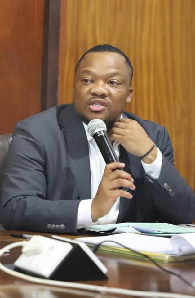 Ad Hoc Committee on Allegations by Mayor of Naledi Municipality to ...