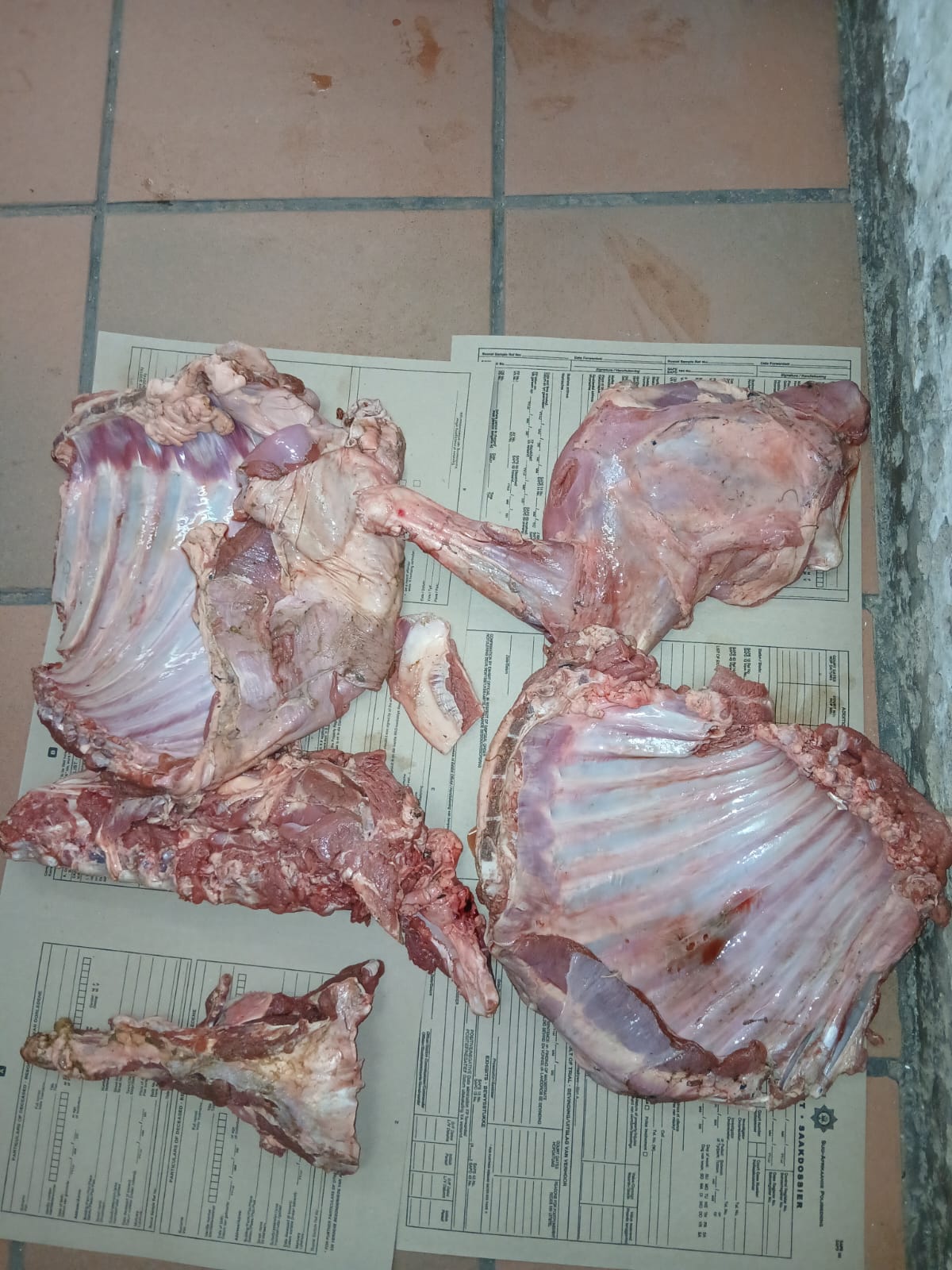 Two suspects nabbed for being in possession of sheep carcasses | The ...